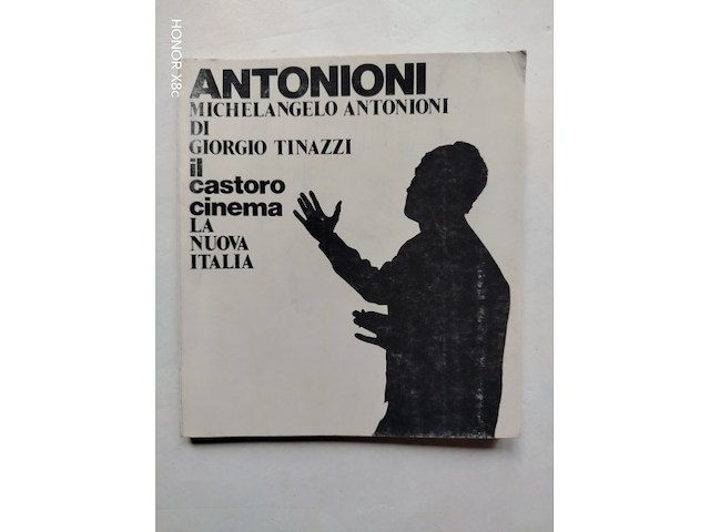 Giorgio Tinazzi, MICHELANGELO ANTONIONI