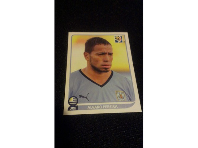 Panini FIFA 2010 J.Afrika sličica broj 080