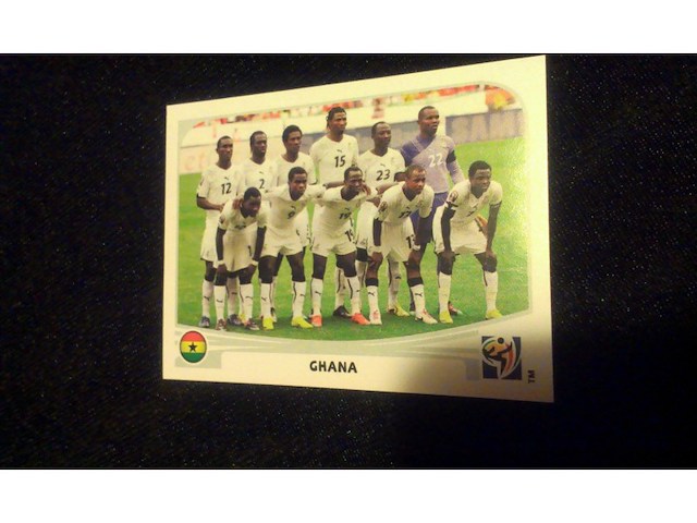 Panini FIFA 2010 J.Afrika sličica broj 315