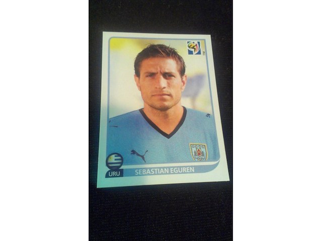 Panini FIFA 2010 J.Afrika sličica broj 079