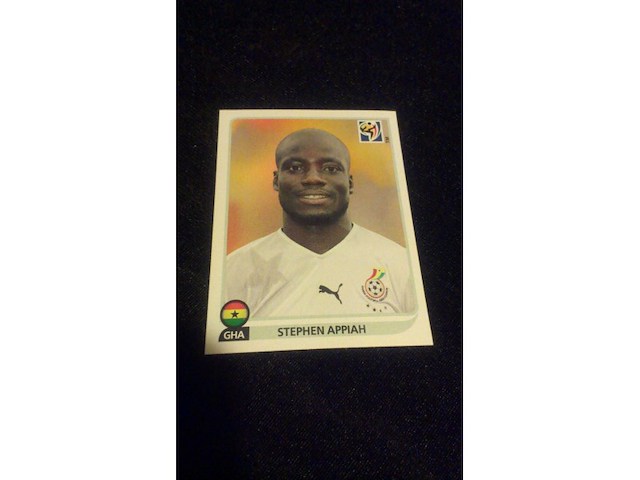 Panini FIFA 2010 J.Afrika sličica broj 324