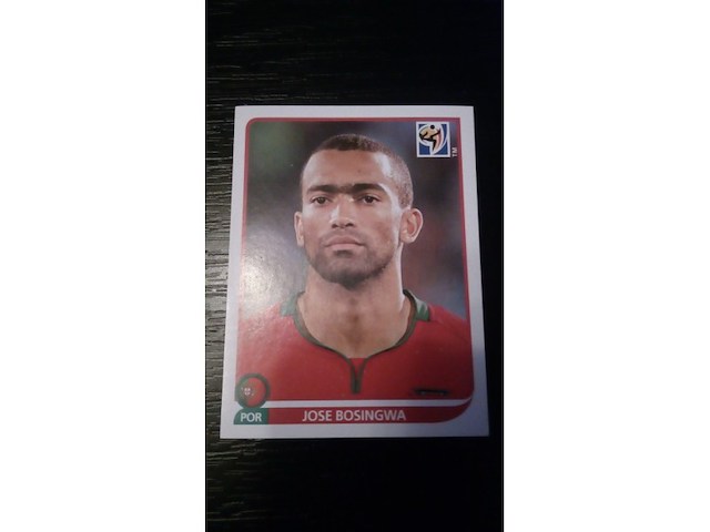 Panini FIFA 2010 J.Afrika sličica broj 549