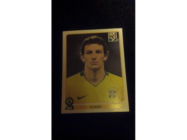Panini FIFA 2010 J.Afrika sličica broj 498