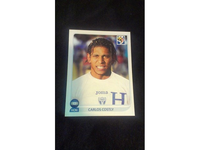 Panini FIFA 2010 J.Afrika sličica broj 618