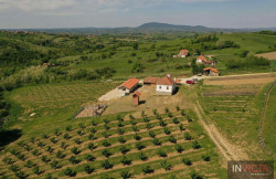 Prelepo poljoprivredno imanje sa objektima i jezerom