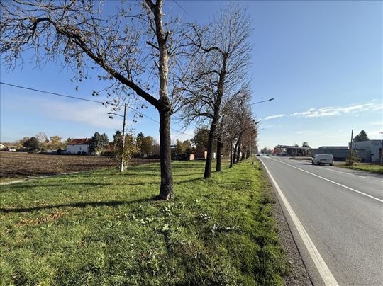 Broker - Putem Bavaništa, sve ili ništa!