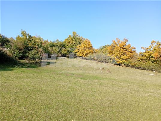 Plac, 15ari, Zlatibor selo Golovo