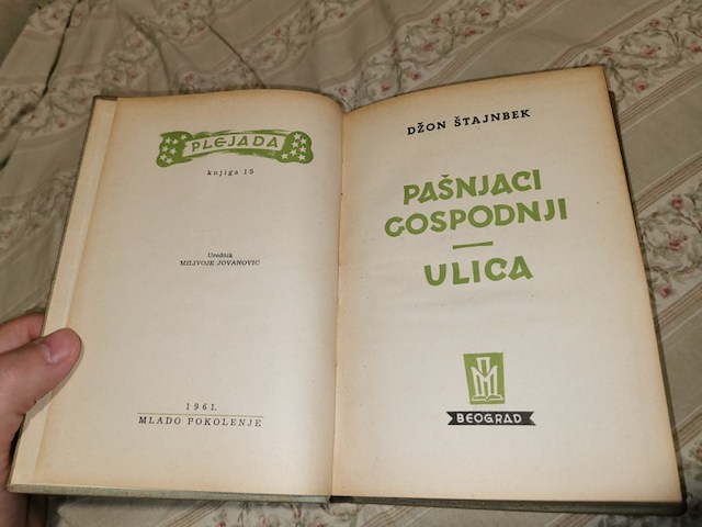 PAŠNJACI GOSPODNJI - ULICA - Džon Štajnbek