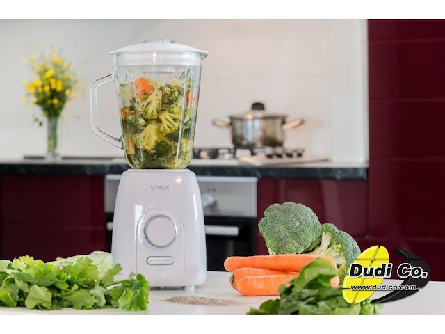VIVAX HOME BL-600G BLENDER