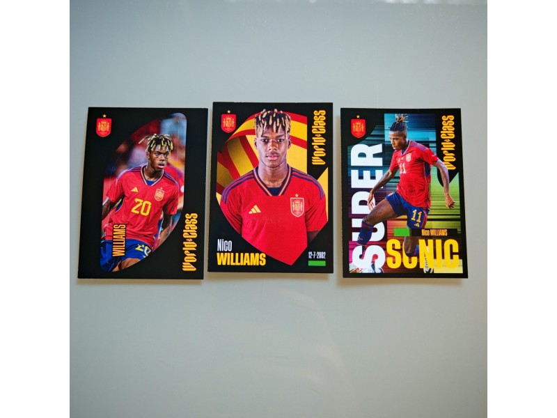 Nico WILLIAMS lot - Panini World class 2024