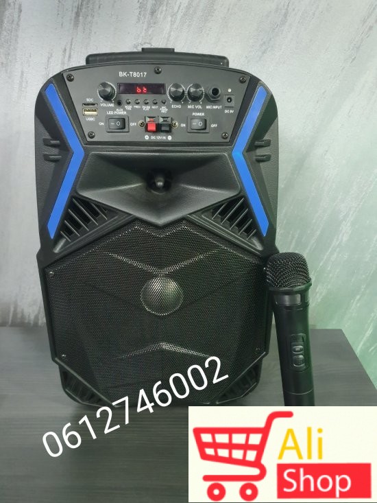 Bluetooth zvucnik karaoke + Bezicni mikrofon BK-T8017