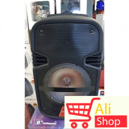 Veliki Bluetooth Zvučnik Profit P-812 Karaoke + Mikrofon