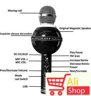 Bluetooth Karaoke Mikrofon WS-878-o!