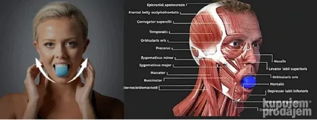 NOVO! Ojačivač vilice Guma za vilicu JAWLINE Jačanje Vilice