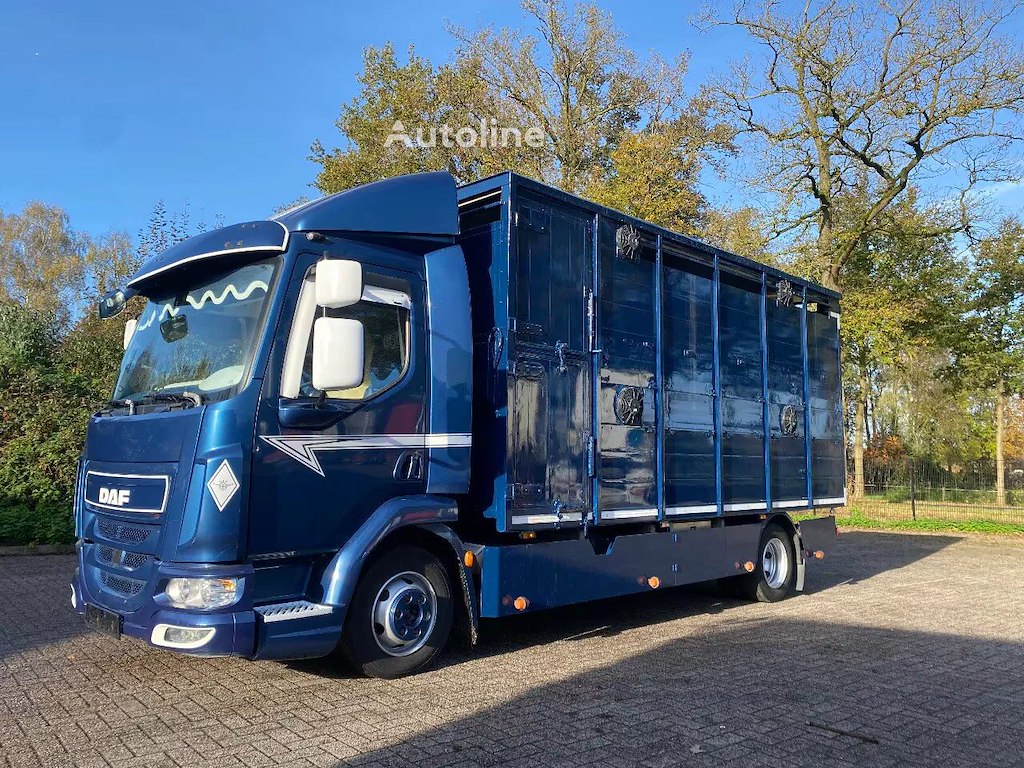 DAF LF 280 kamion za prevoz stoke