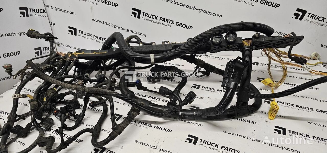 Engine cables harness set 51254136256 ožičenje za MAN TGX, TGS tegljača