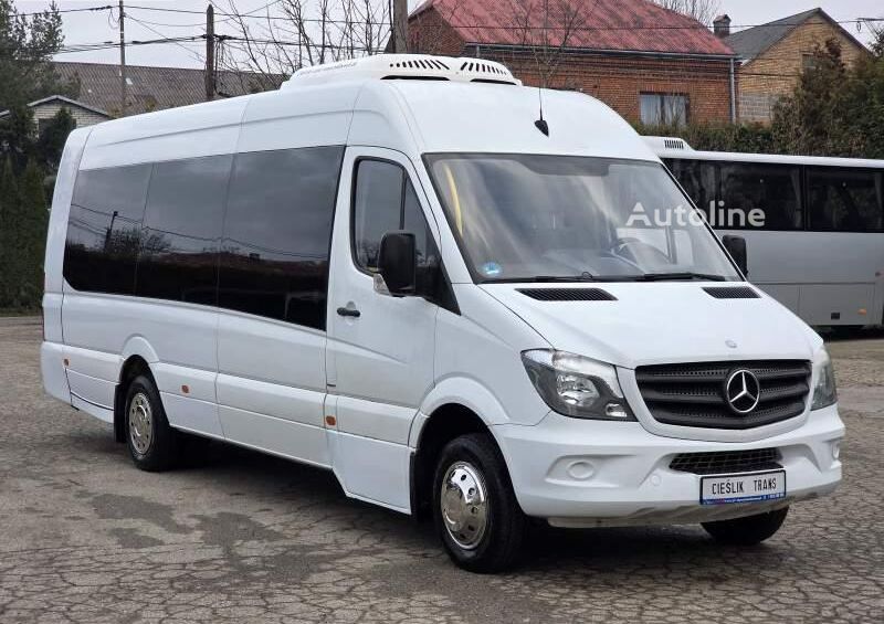 Mercedes-Benz Sprinter 516 putnički minibus