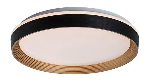 Rabalux Plafonjera Ladan, LED, Sa daljinskim, 48W, 3000-6500K, 50cm, Crna