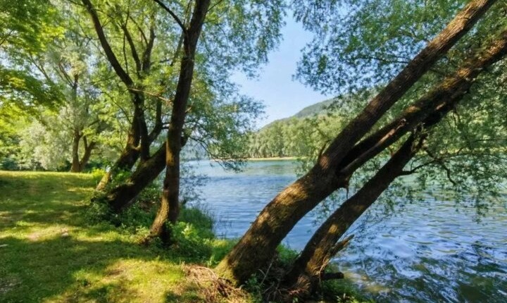 Placevi na prodaju Gornja Trešnjica-Ljubovija