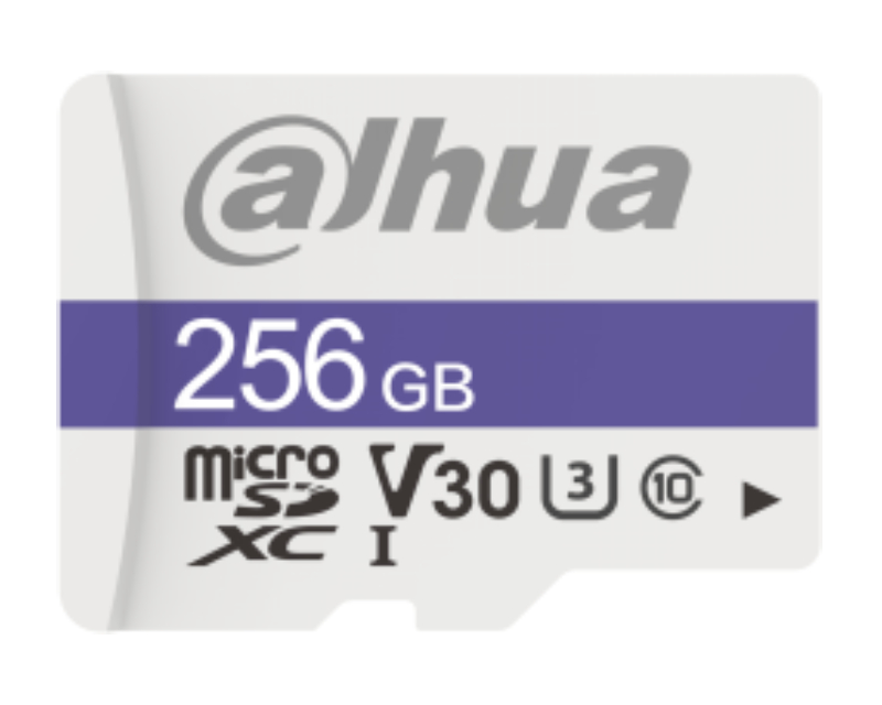 C100 MicroSDHC 256GB U1 DHI-TF-C100/256GB