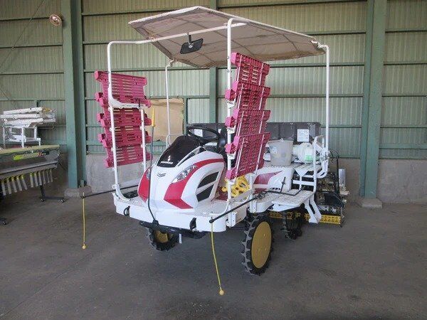 Yanmar RICE TRANSPLANTER(Yanmar) sadilica rasada