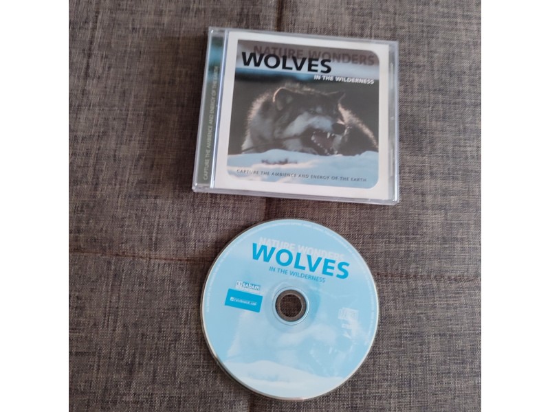 Nature wonders wolves in the wilderness