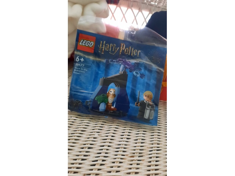 LEGO Harry Potter novo