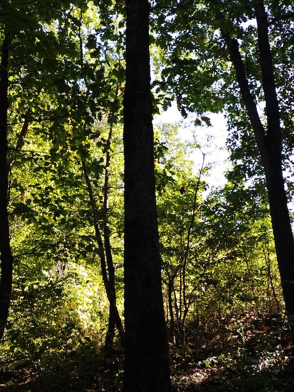 Posao nega starih i bolesnih.Potrebna zena sa Miljakovca i okoline za