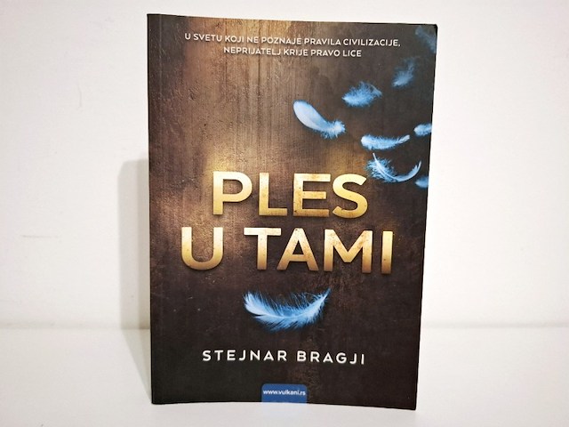 Ples u tami  - Stejnar Bragji