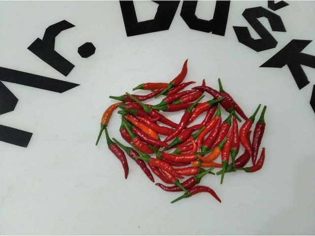 Papričica Thai hot chili red 150 semena