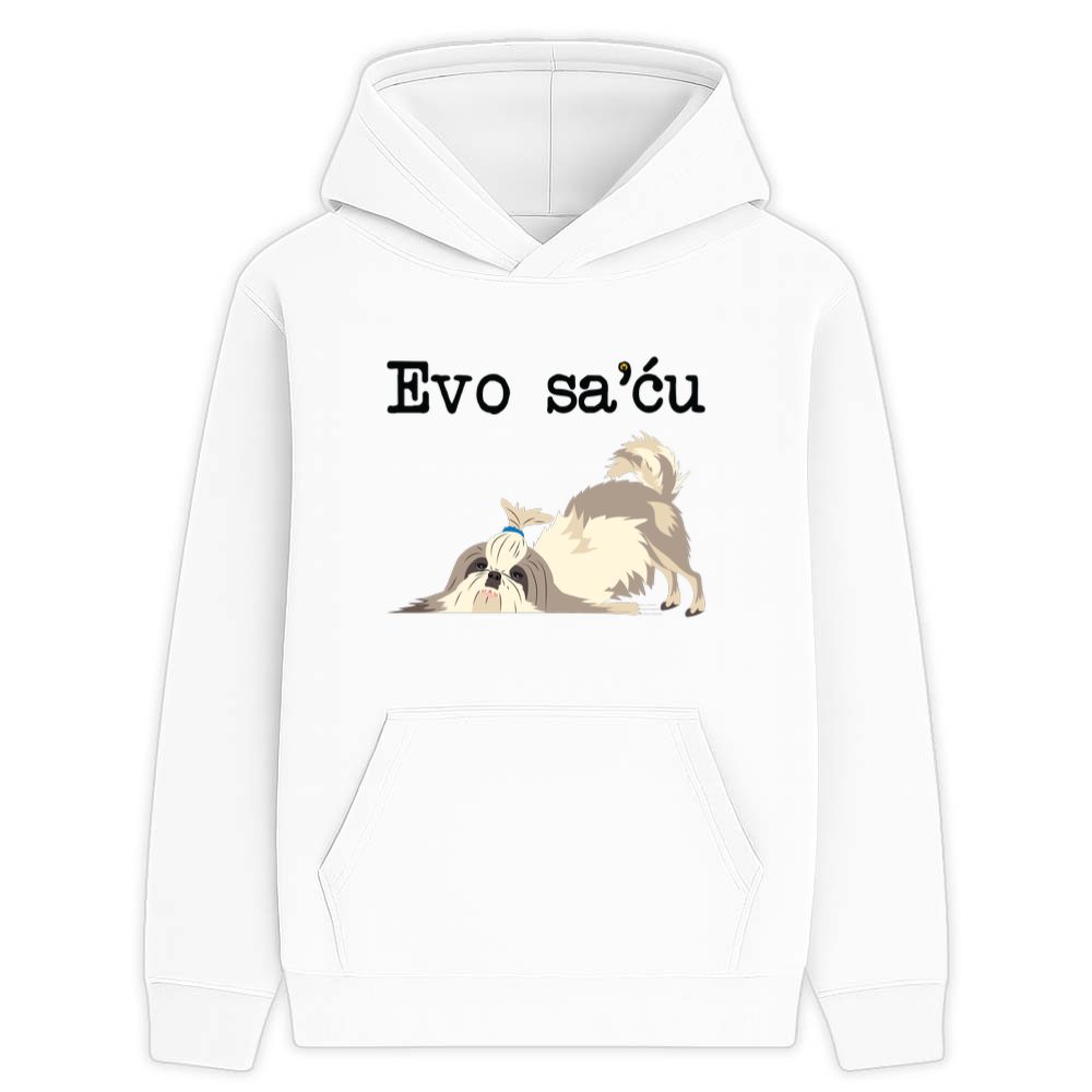 Evo sa'ću Shih Tzu