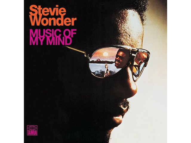 Stevie Wonder - Music of my mind