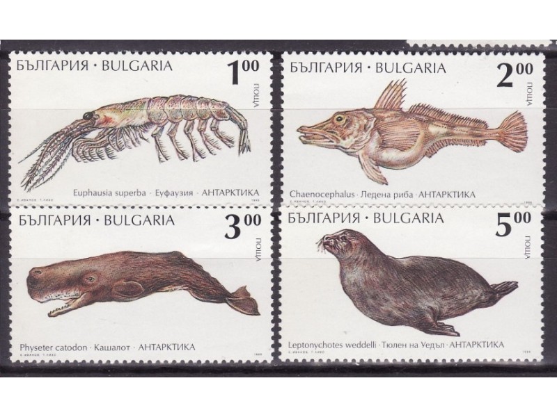 Bugarska - morska fauna -- 1995.
