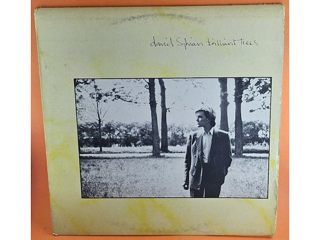 David Sylvian – Brilliant Trees, LP