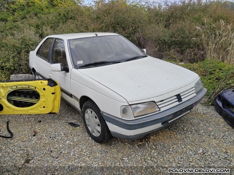 Peugeot 405 1.9b 8v Kompletan Auto U Delovima