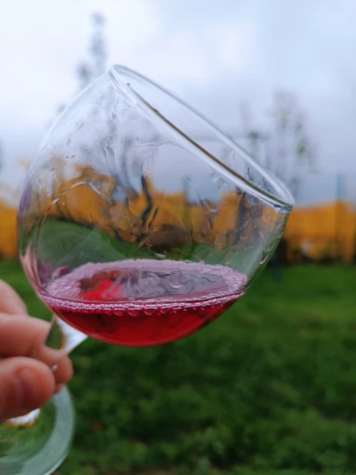 Domaće roze vino