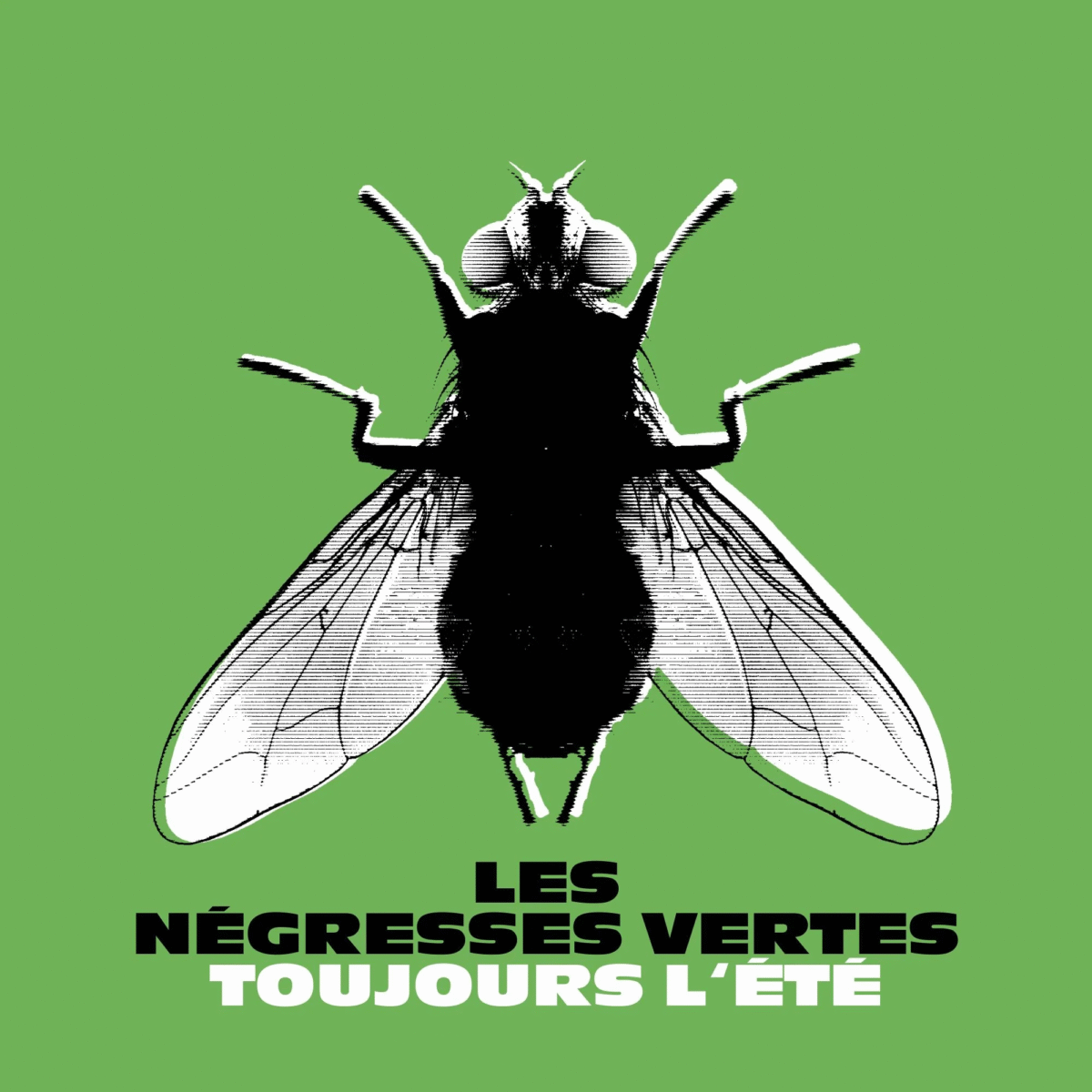 Les Négresses Vertes – Toujours l’été (Best Of) (LP, white vinyl)