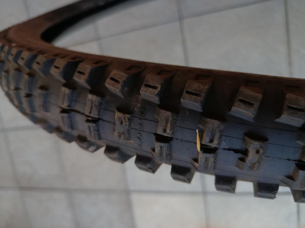 Schwalbe Big Betty 29x2,40