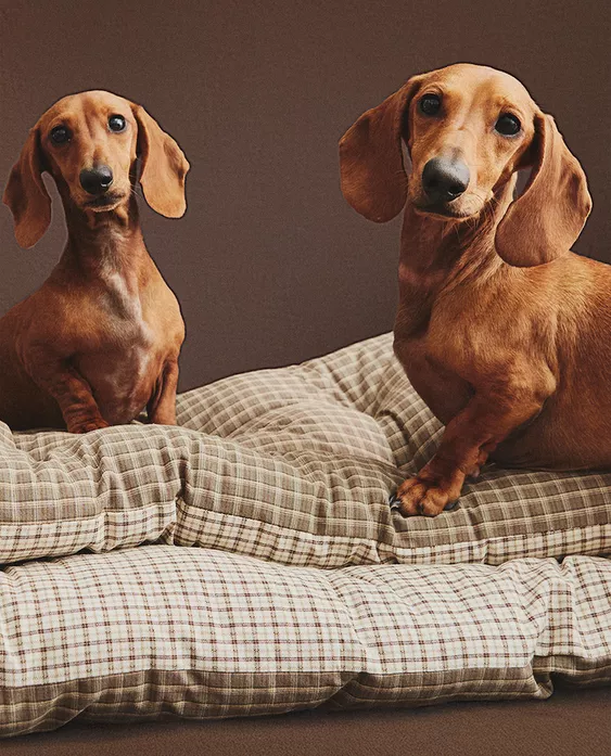 KARIRANI UKRASNI JASTUK ZA KUĆNE LJUBIMCE