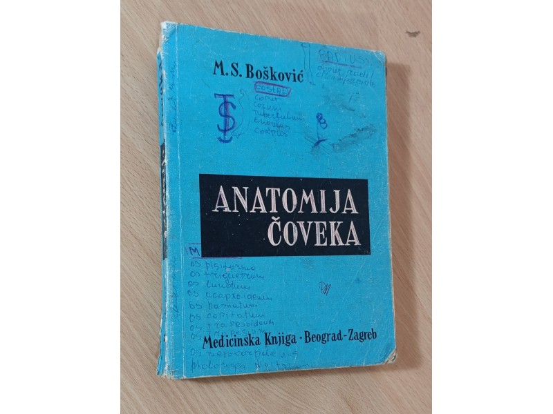 ANATOMIJA COVEKA