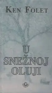 U snježnoj oluji