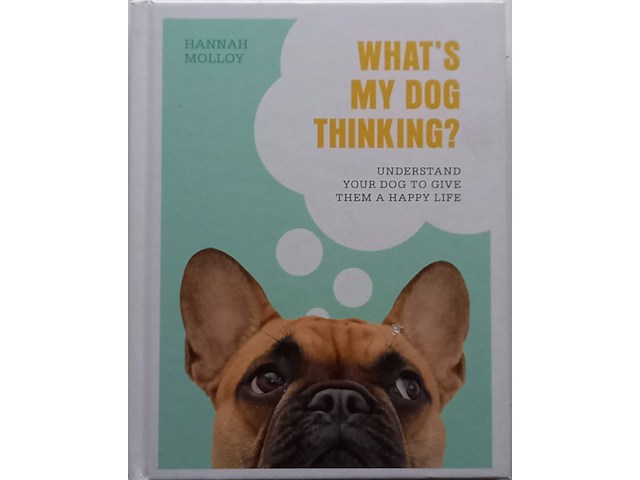 Hannah Molloy: WHAT IS MY DOG THINKING?