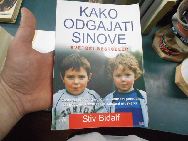 Stiv Bidalf - Kako odgajati sinove