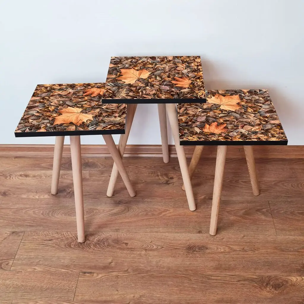 Hanah Home Set klub stočića 3Shp22, 3 komada, Šareni