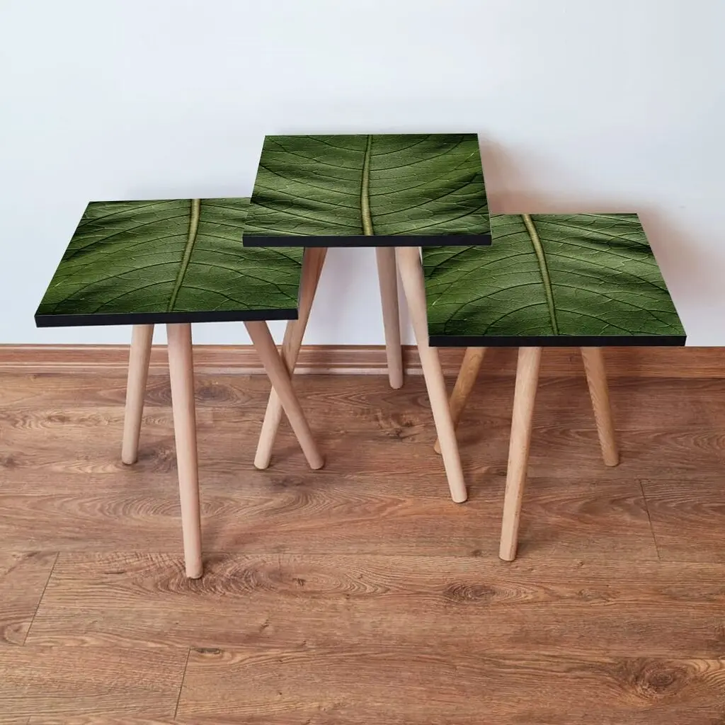 Hanah Home Set klub stočića 3Shp103, 3 komada, Šareni