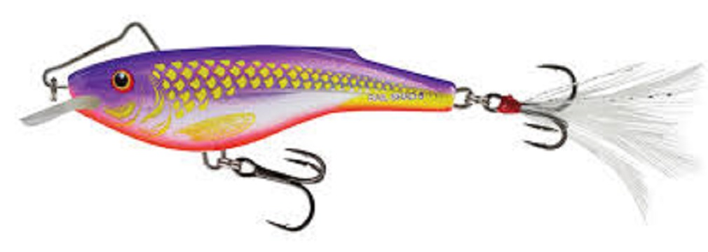 SALMO RAIL SHAD 6-PURPLEDESCENT 6 CM/14 GR AKCIJA