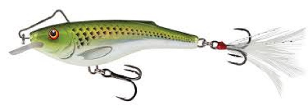 SALMO RAIL SHAD 6-HOLO GREEN SHINER 6 CM/14 GR AKCIJA