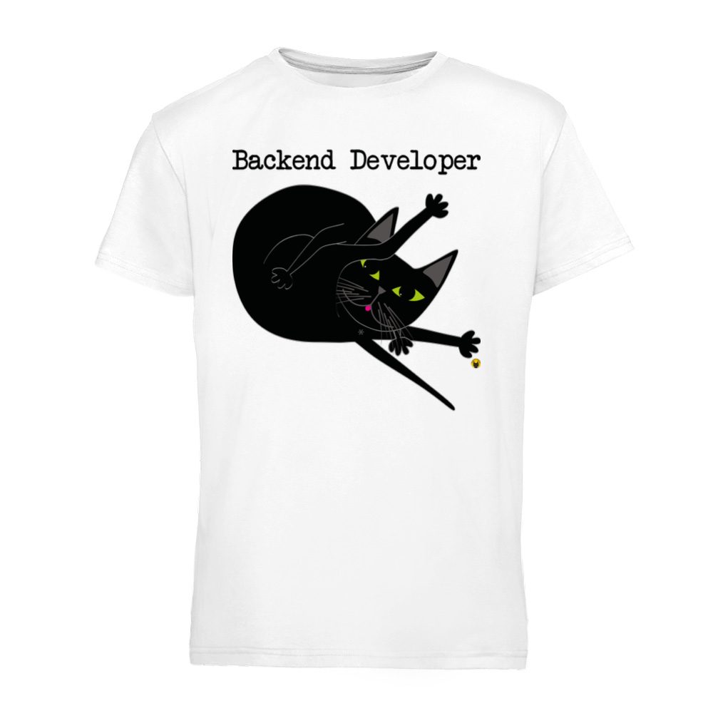 Backend developer