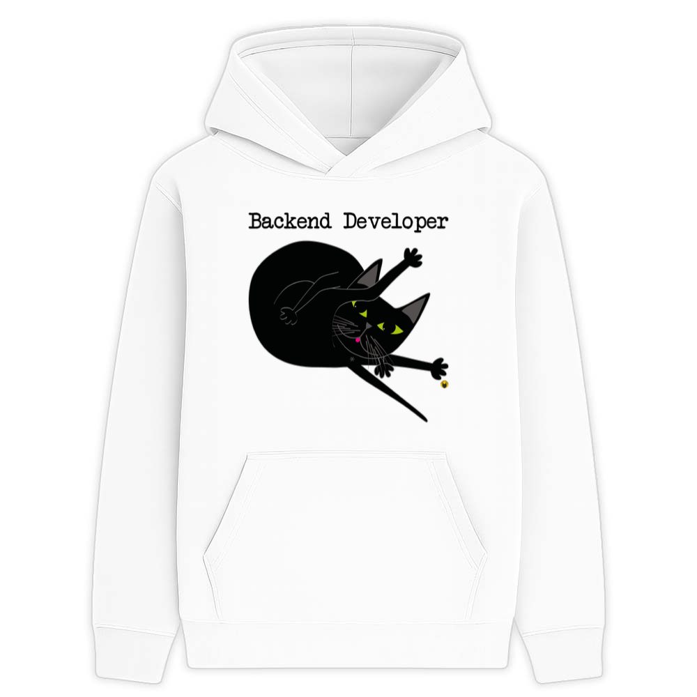 Backend developer