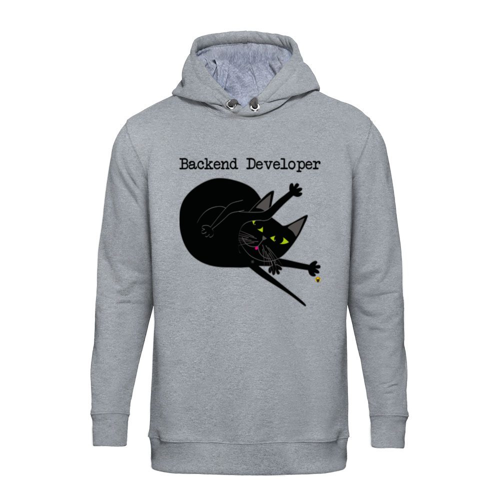 Backend developer